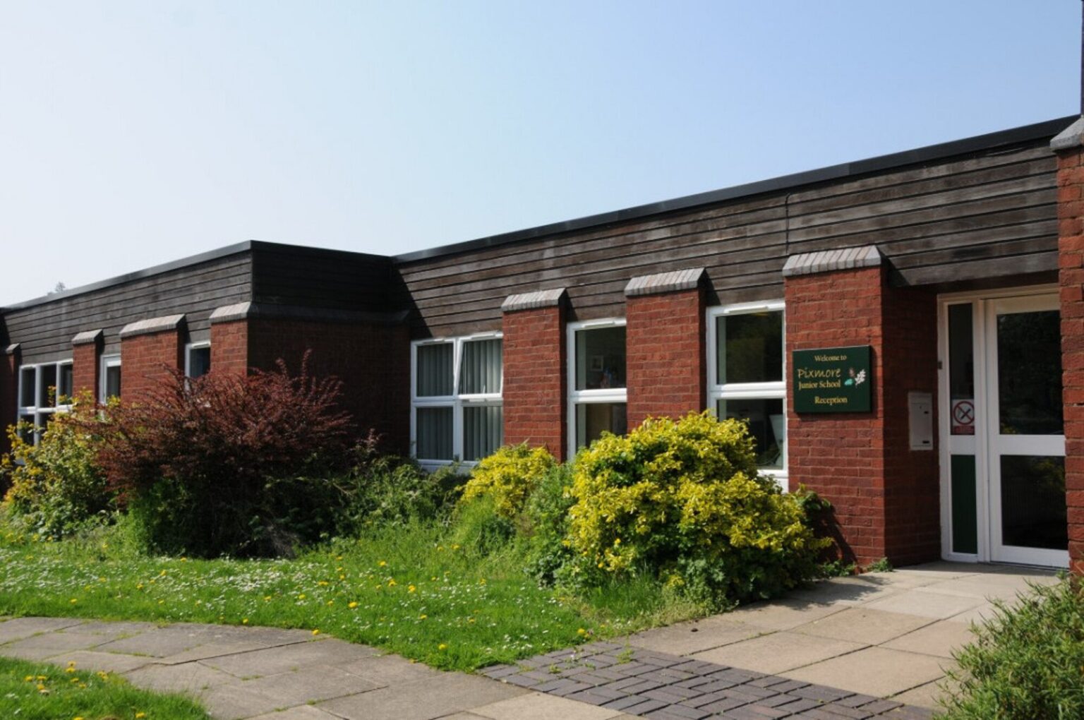 Summer Camps - Next Thing Education